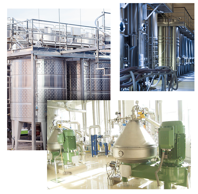 Atlantic-agro: Current Projects