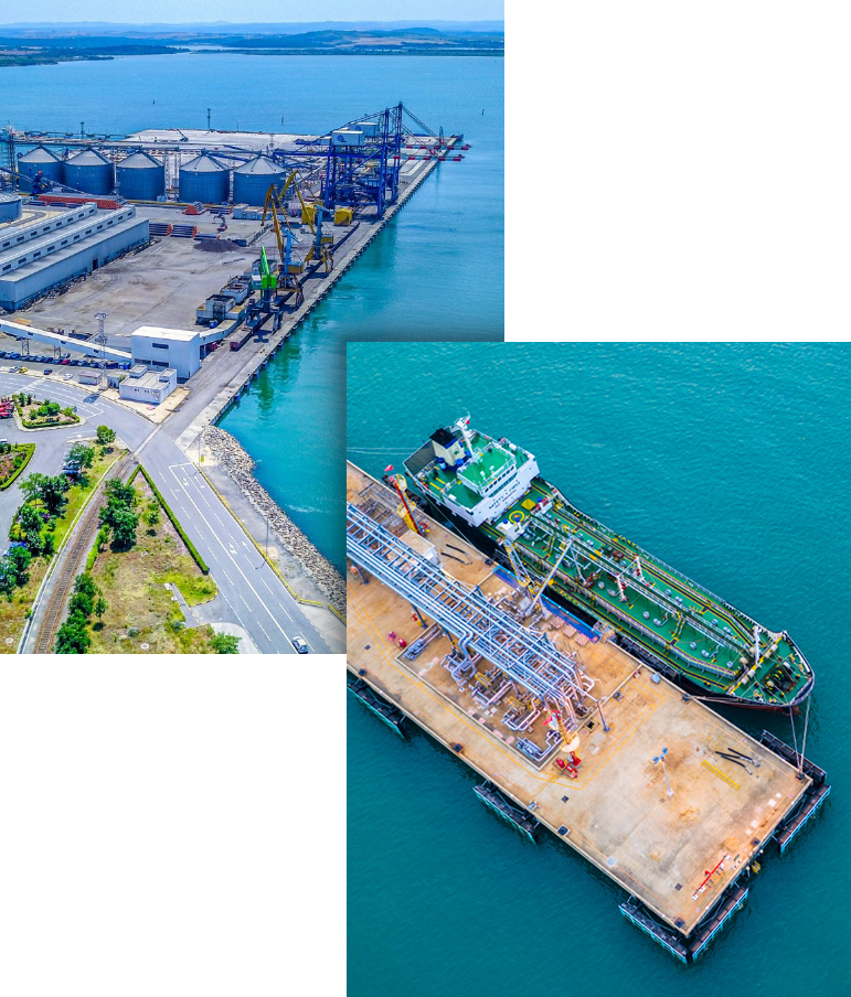 Atlantic-agro: Current Projects